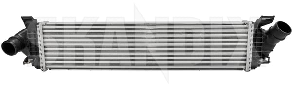 SKANDIX Shop Volvo Ersatzteile: Ladeluftkühler 31319168 (1078471)