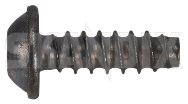 SKANDIX Shop Volvo parts: Screw/Bolt Inner-torx 30640603 (1095161)